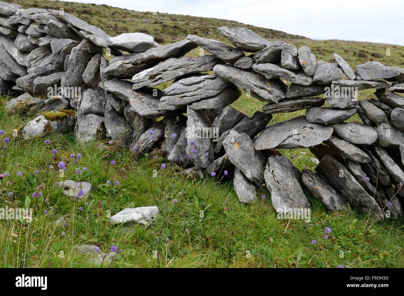 Irishlimestone hi-res stock photography and images - Alamy