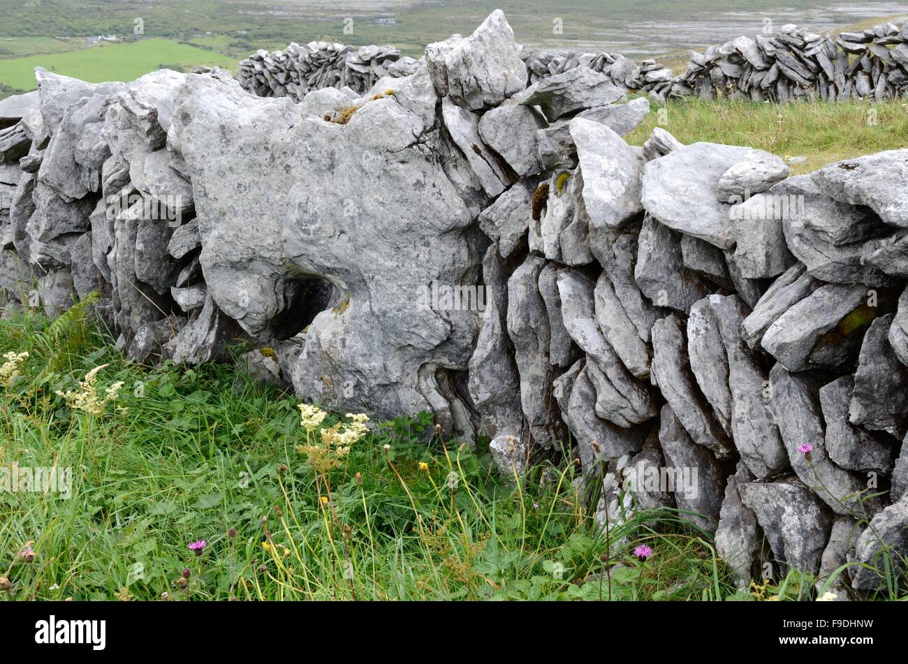 Example of traditional limestone dry stone wall Caher Valley Burren ...