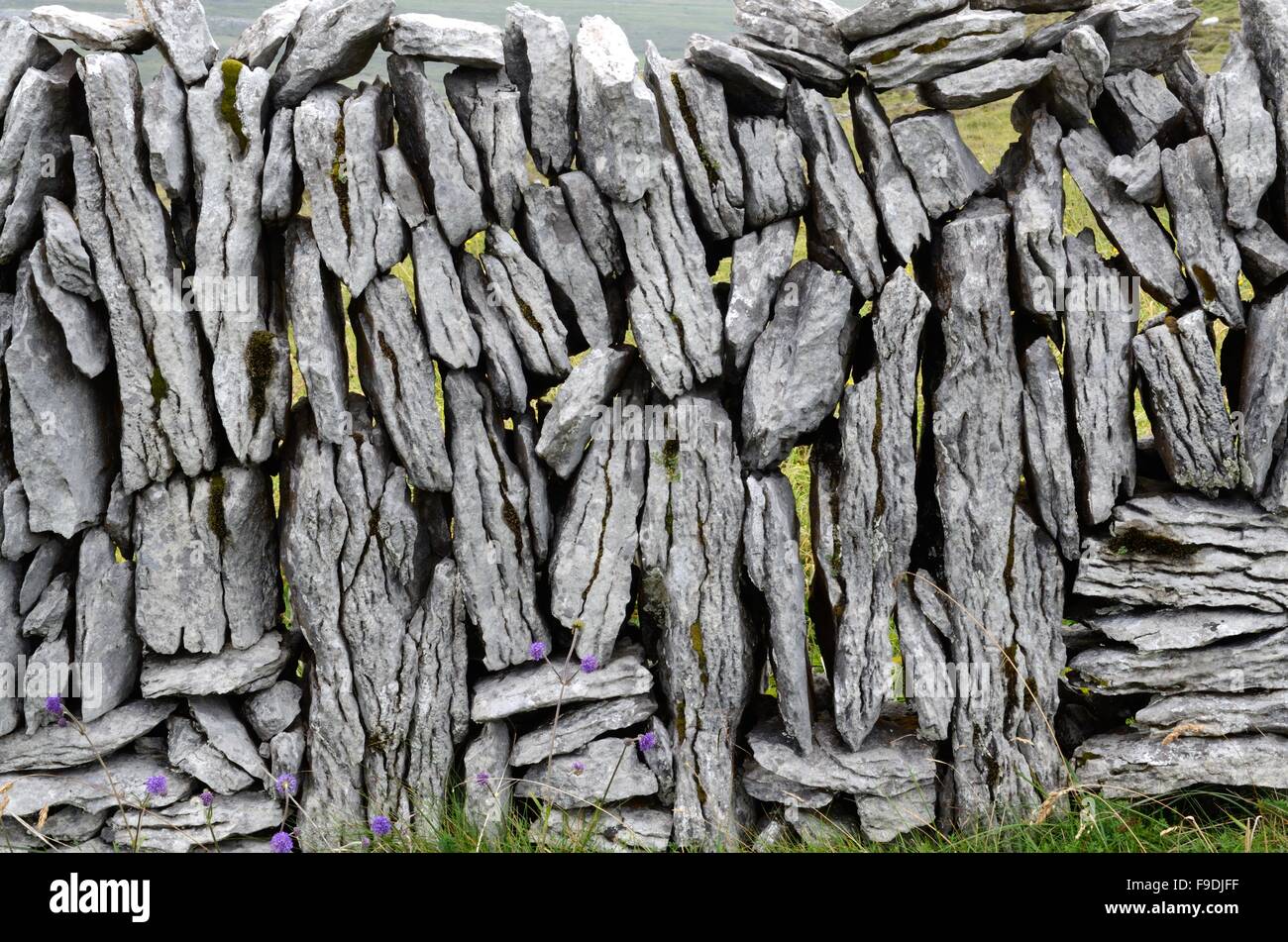 Example of traditional limestone dry stone wall Caher Valley Burren ...