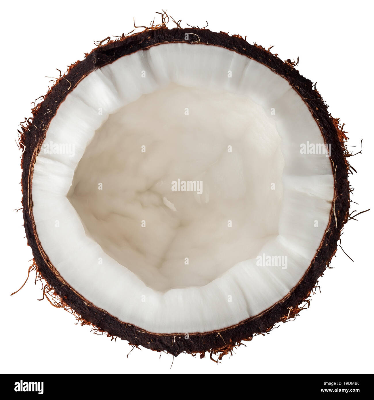 one half coconut top view isolated on white background Stock Photo - Alamy