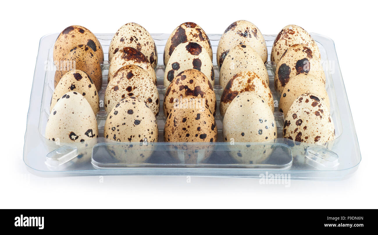 Tray of quails eggs closeup isolated view over white background Stock ...
