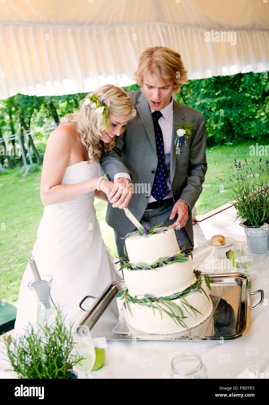 Bride and groom are at the wedding reception Stock Photo - Alamy