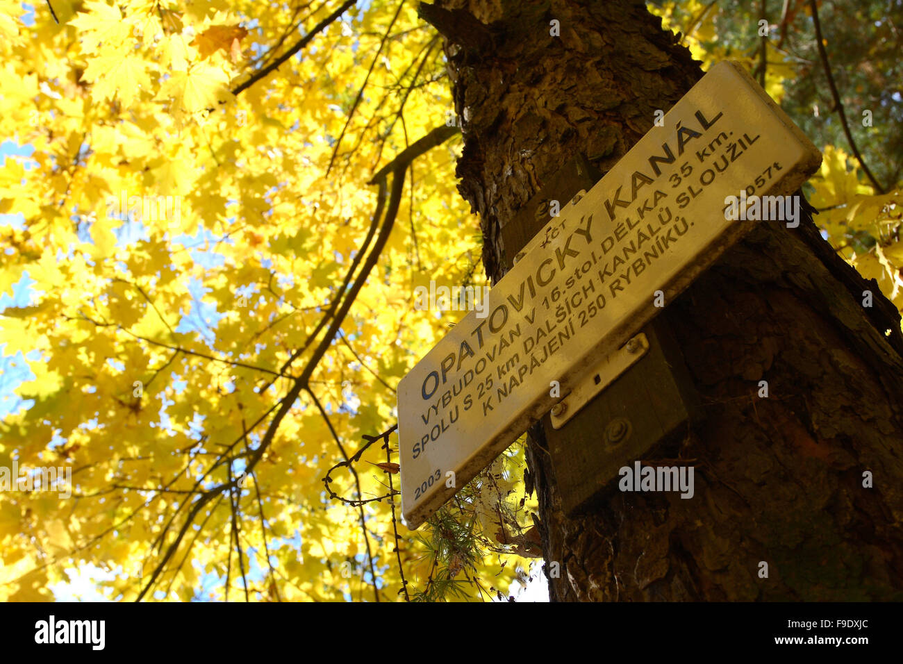 Key on tree bark hi-res stock photography and images - Alamy