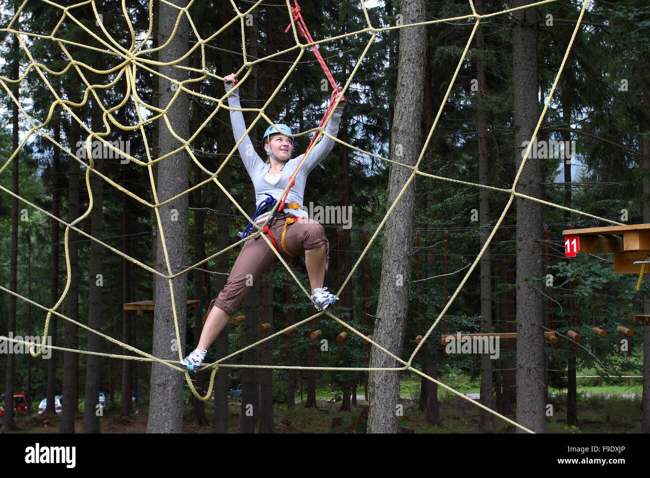 Giant wood spiders hi-res stock photography and images - Alamy