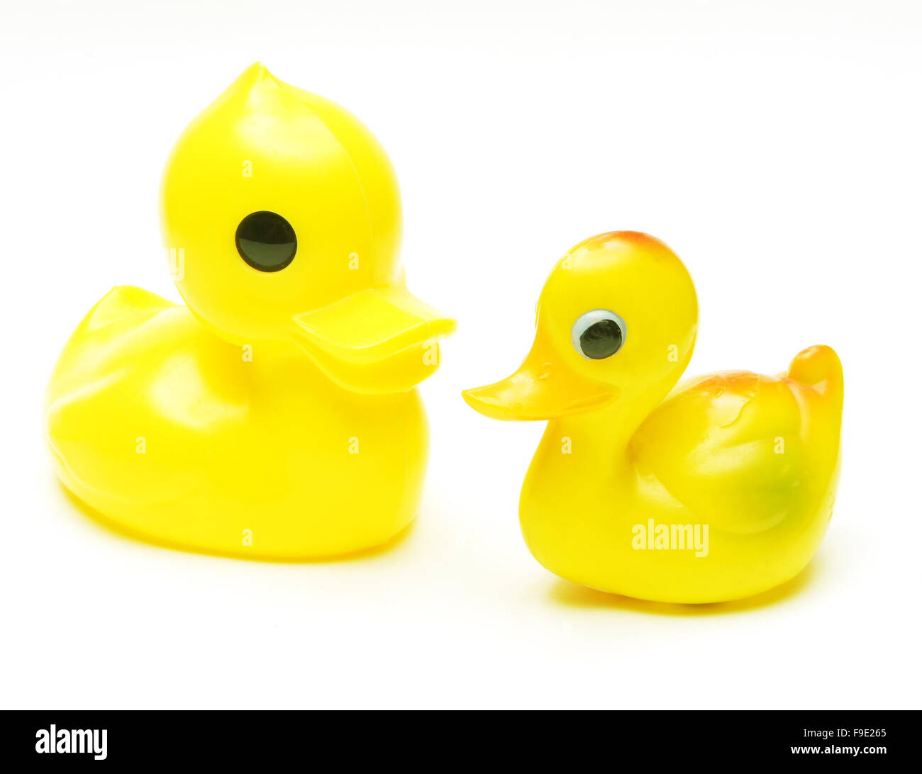 Two smaller birds hi-res stock photography and images - Alamy