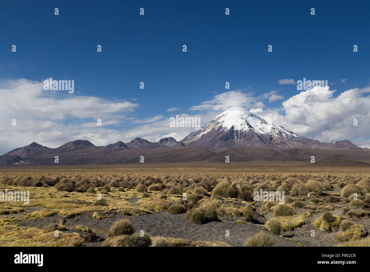 Photograph of the highest mountain in Bolivia Mount Sajama Stock Photo ...