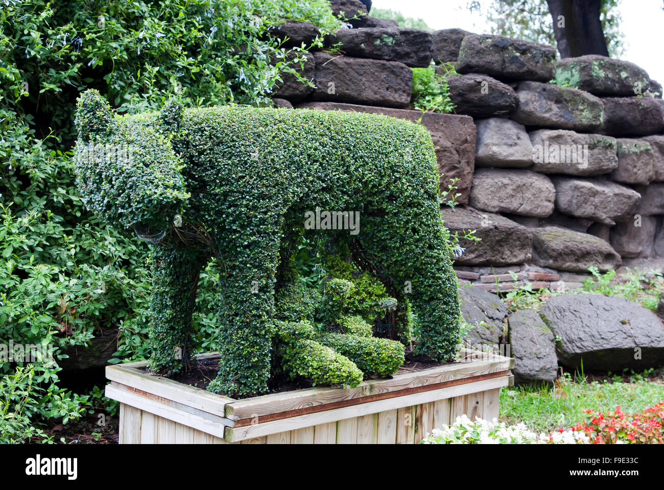 Rome.Evergreen shaped she-wolf Stock Photo - Alamy
