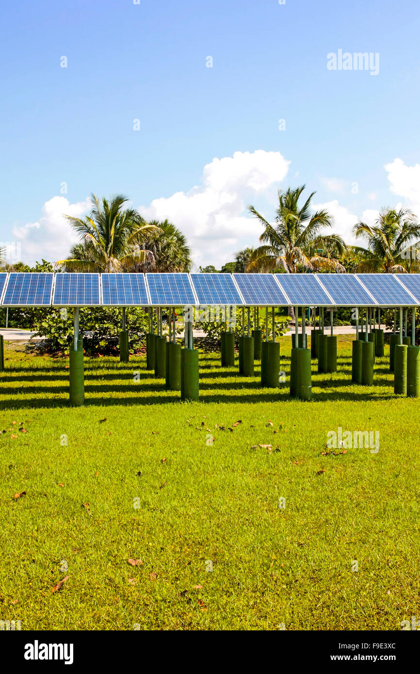 Rows of Solar Panels pointing up to the sunny skies over Florida Stock ...