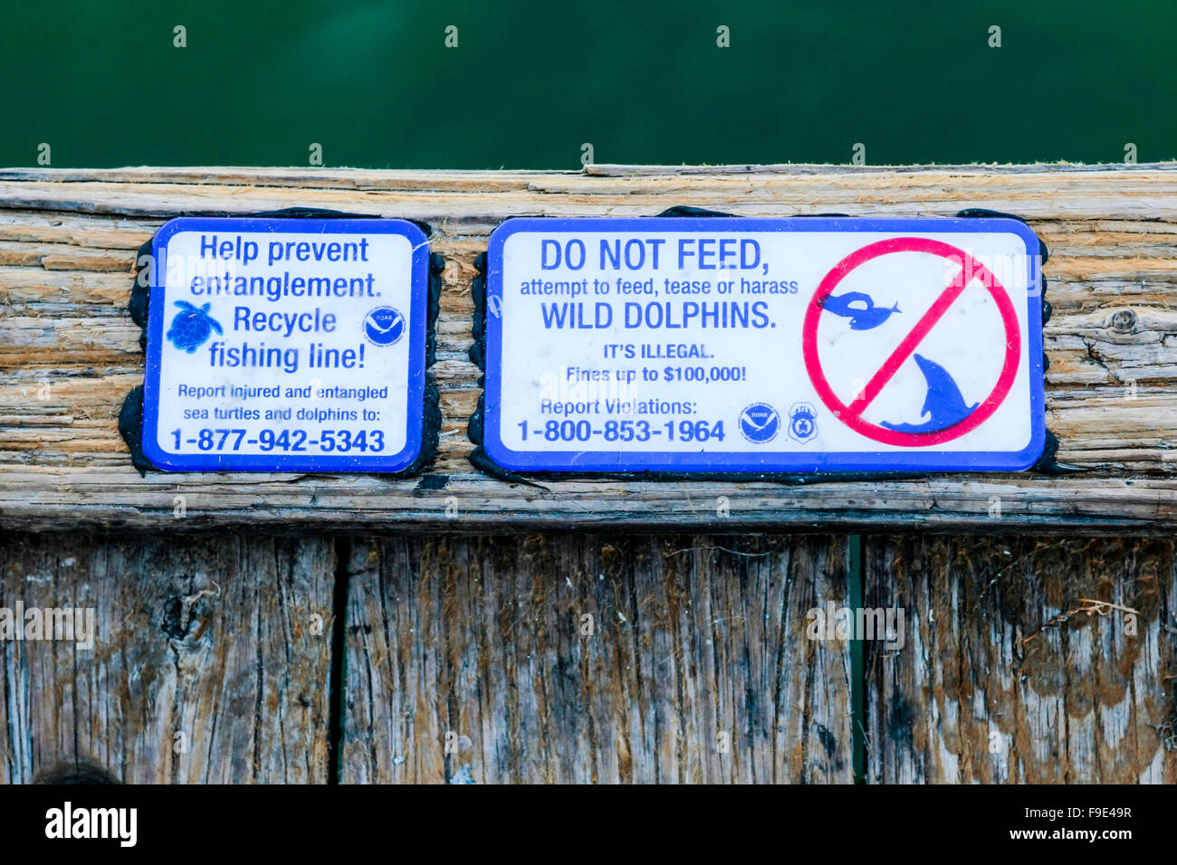 Help prevent entanglement recycle fishing line sign and one that asks ...