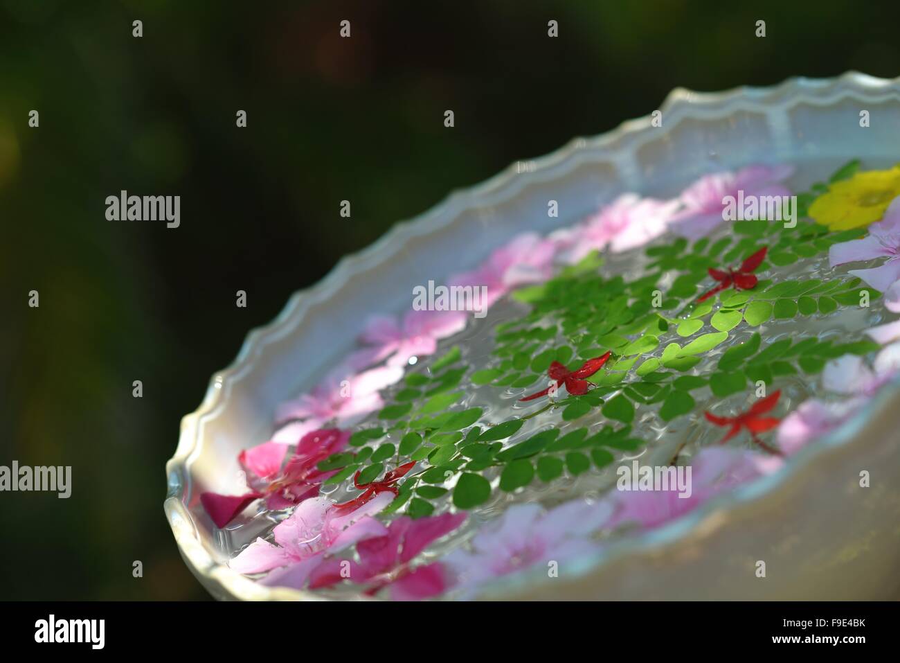 water cup with beautiful flowers, a variety of background colors in spa ...