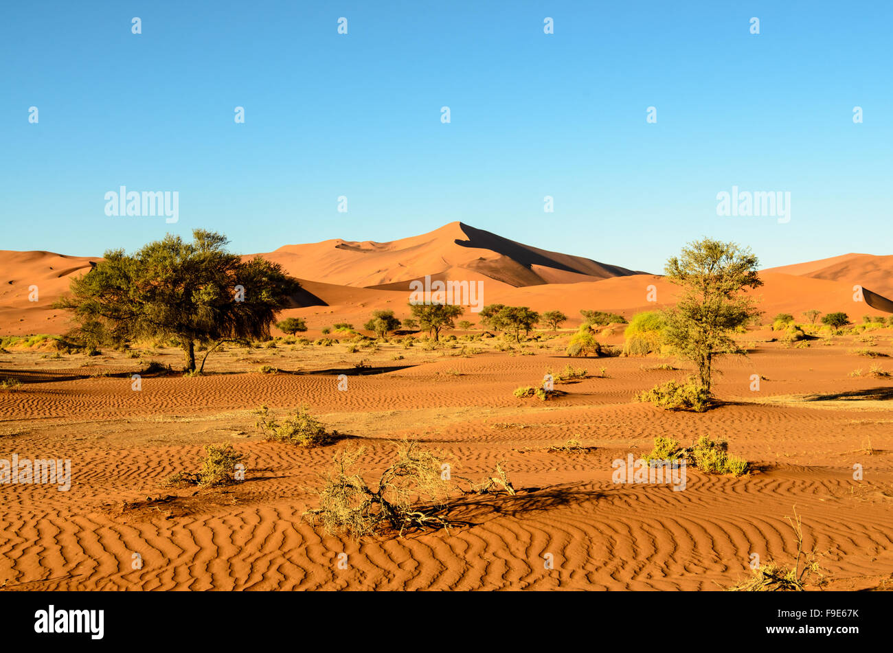 Sand dunes of Namibia Stock Photo - Alamy