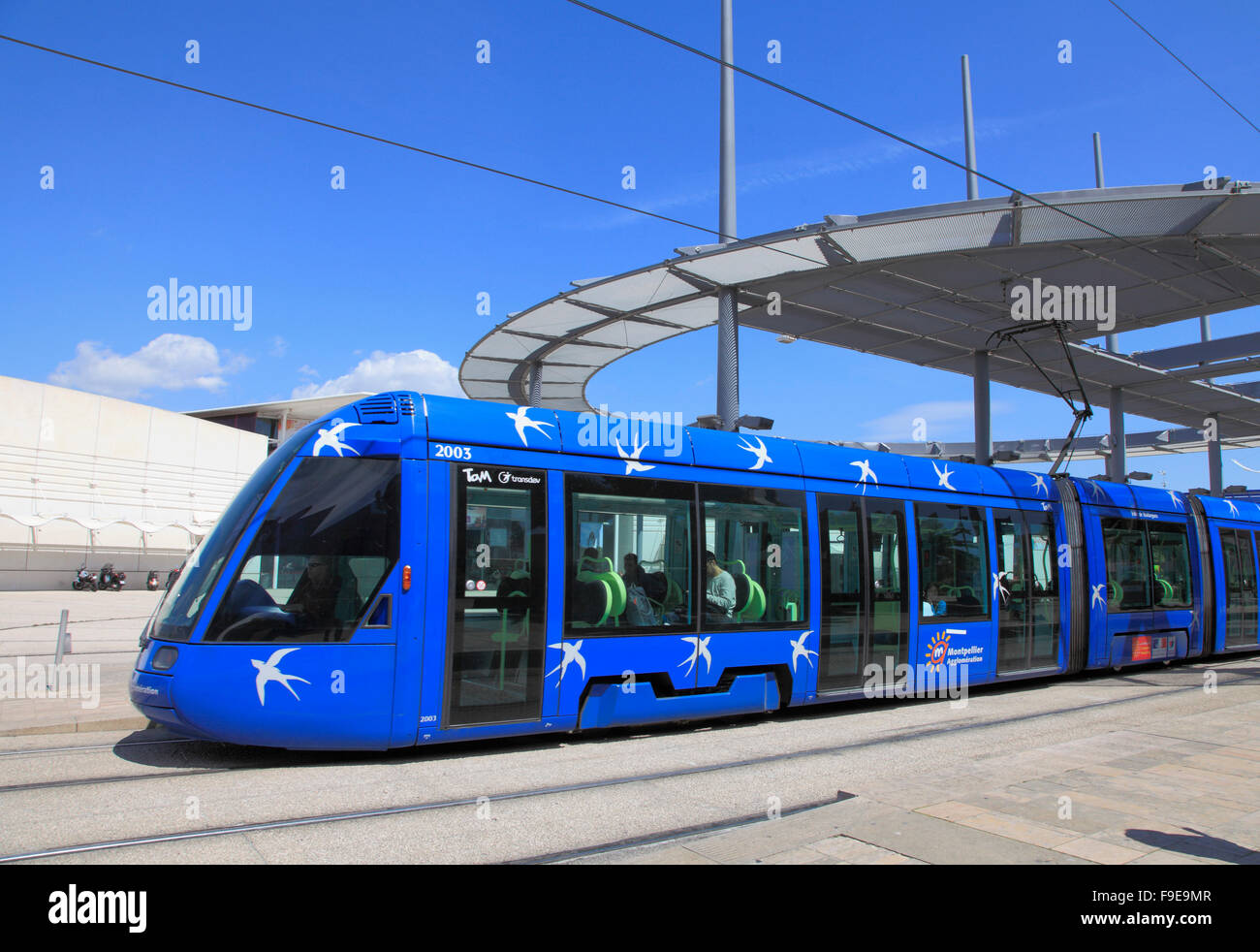 France, Languedoc-Roussillon, Montpellier, tramway, public ...