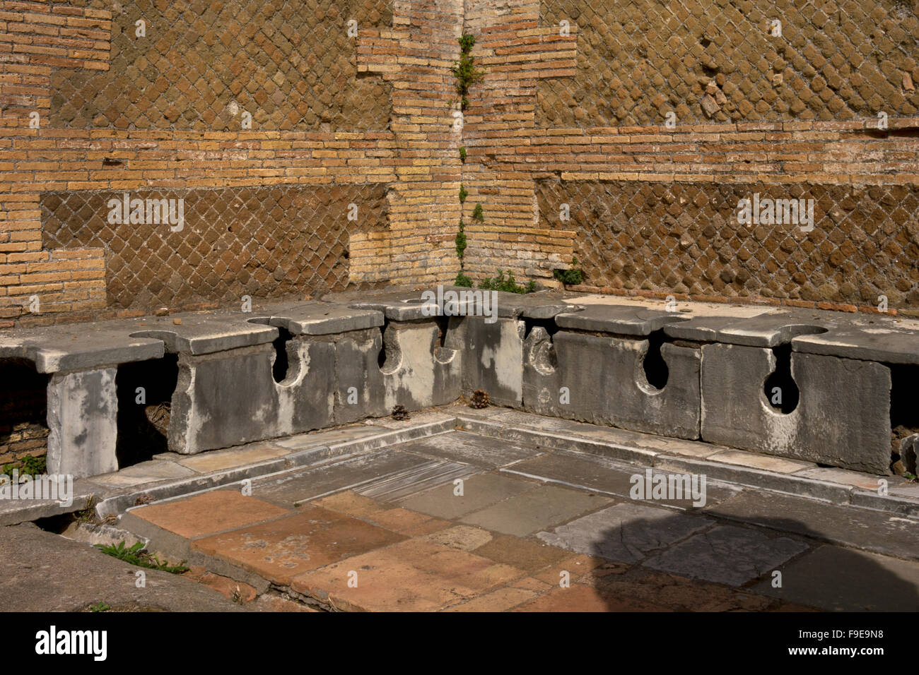 Latrine hi-res stock photography and images - Alamy