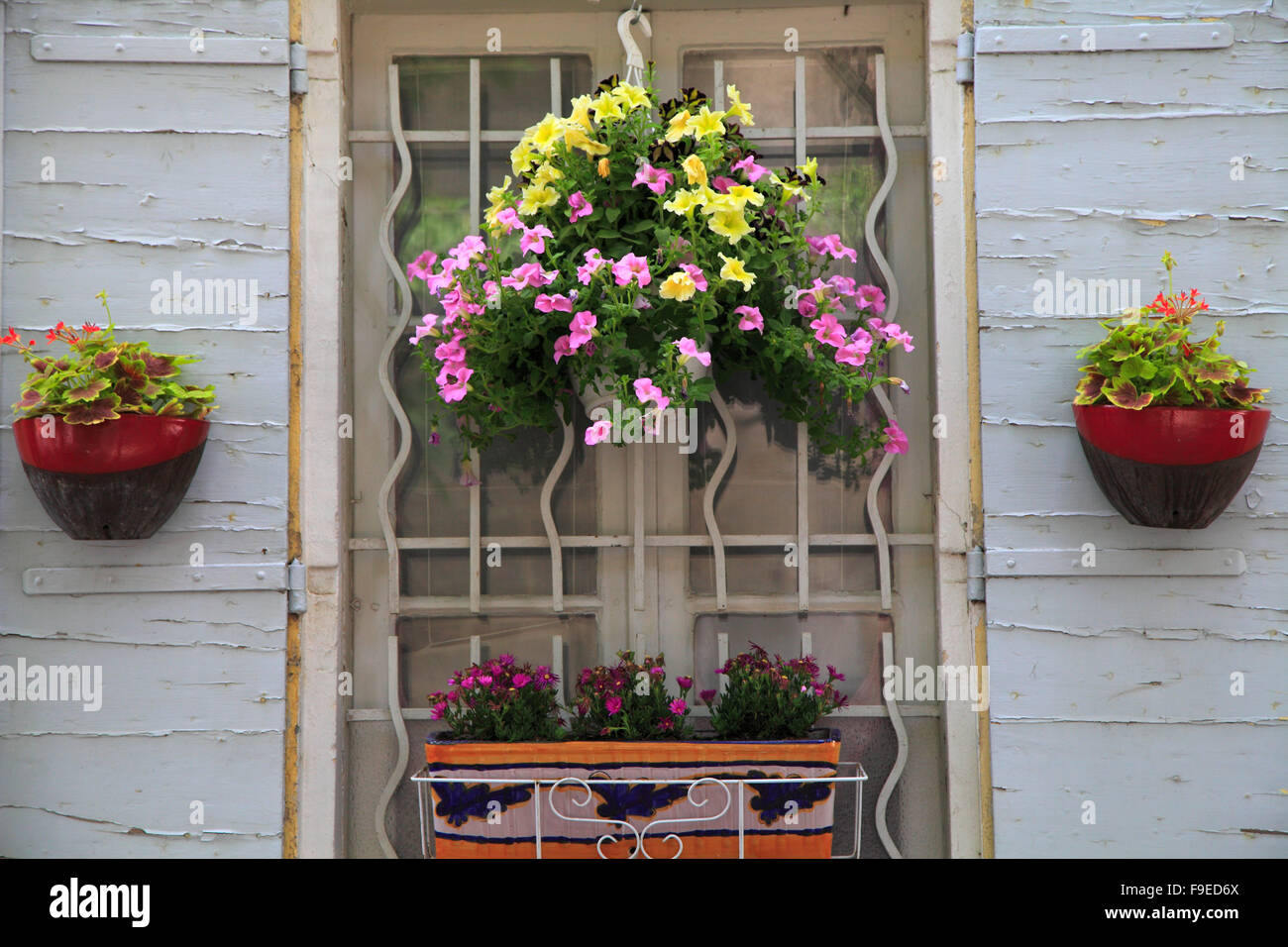 Windows flowers hi-res stock photography and images - Alamy