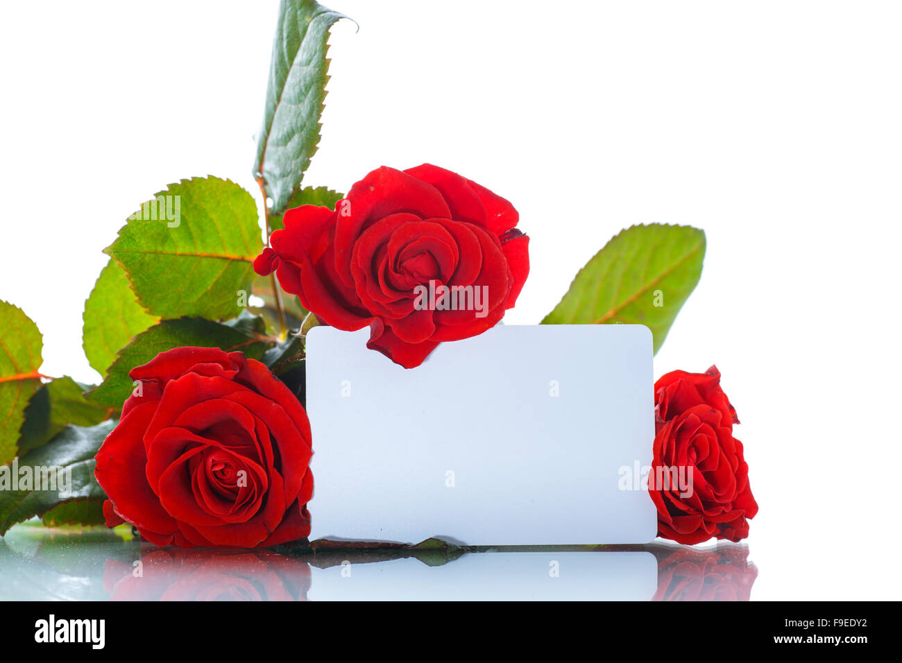 bouquet of beautiful red roses Stock Photo - Alamy