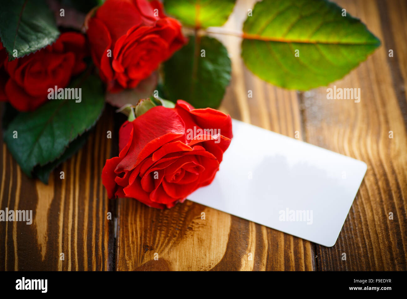 bouquet of beautiful red roses Stock Photo - Alamy