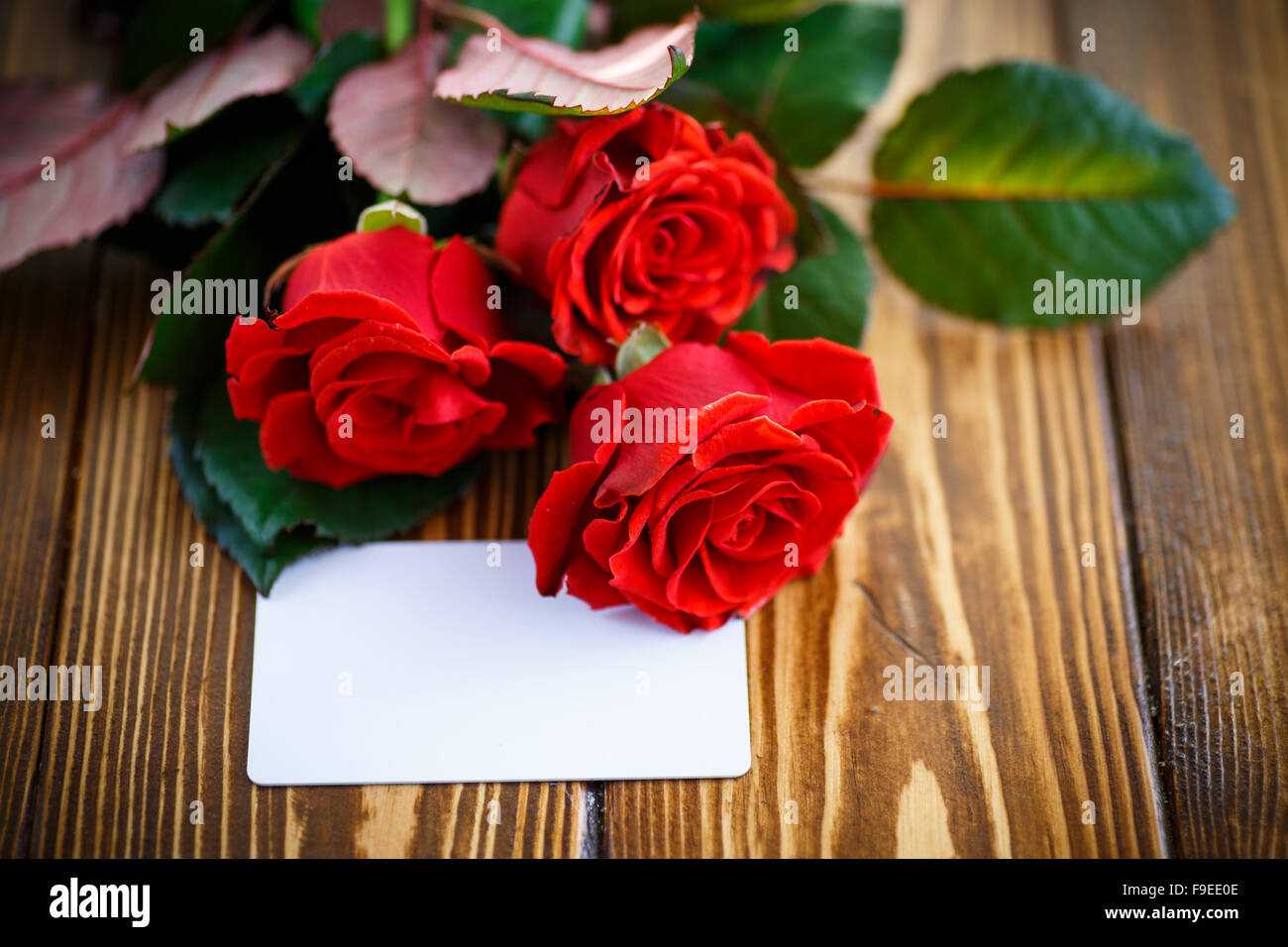 bouquet of beautiful red roses Stock Photo - Alamy