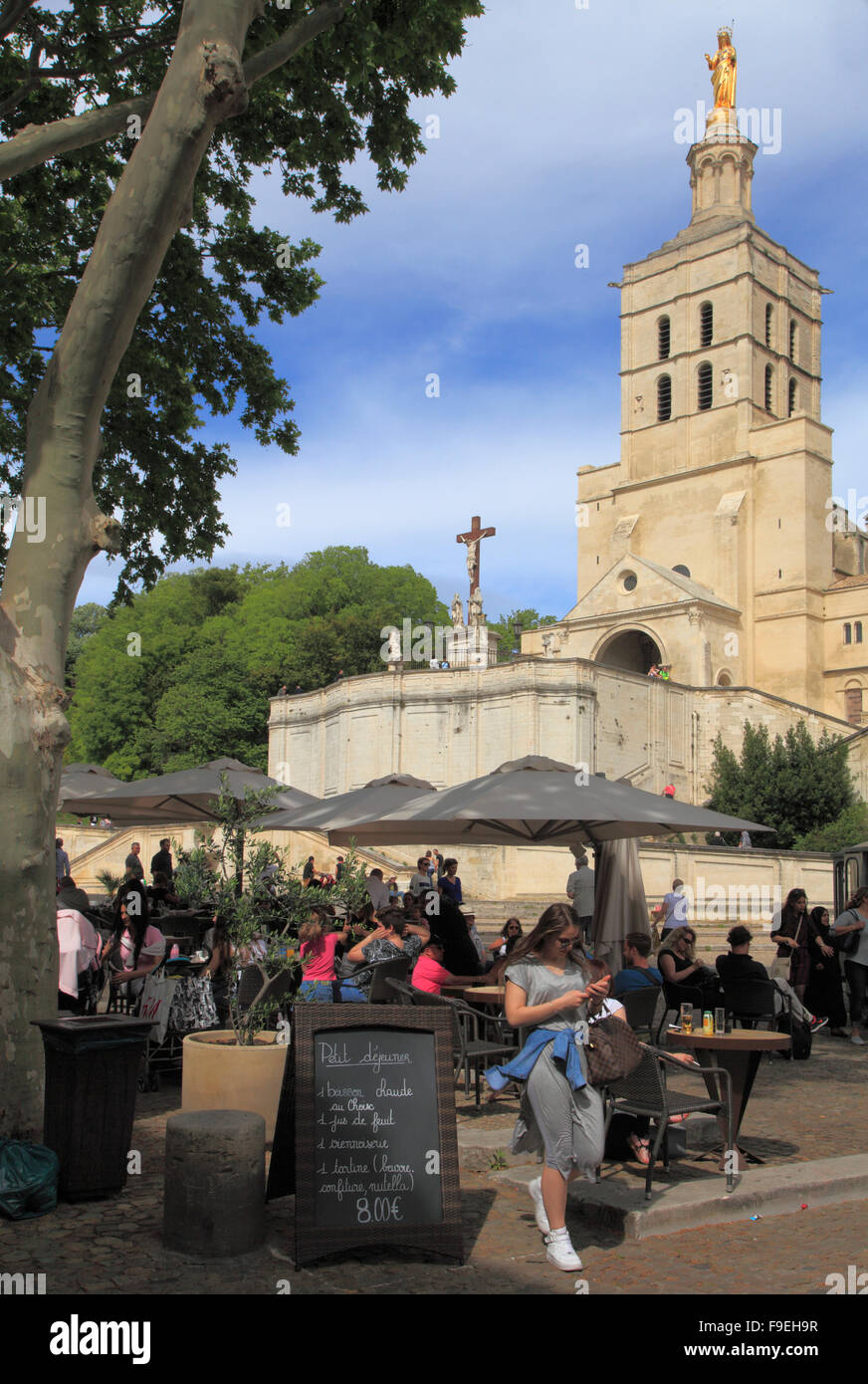 France, Provence, Avignon, Notre-Dame-des-Doms, Cathedral Stock Photo ...