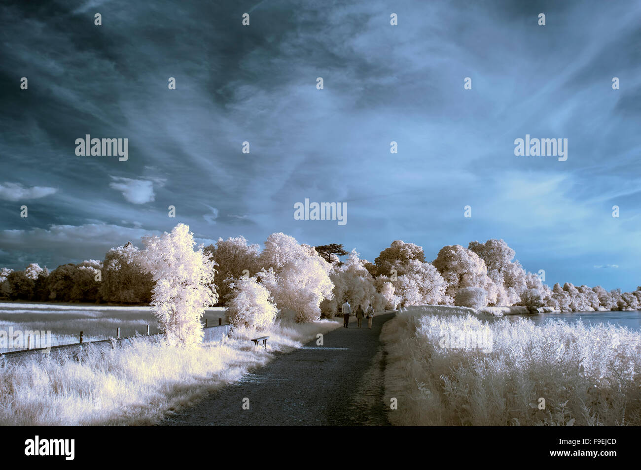 Stunning unique infra red landscape with false color impact Stock Photo ...