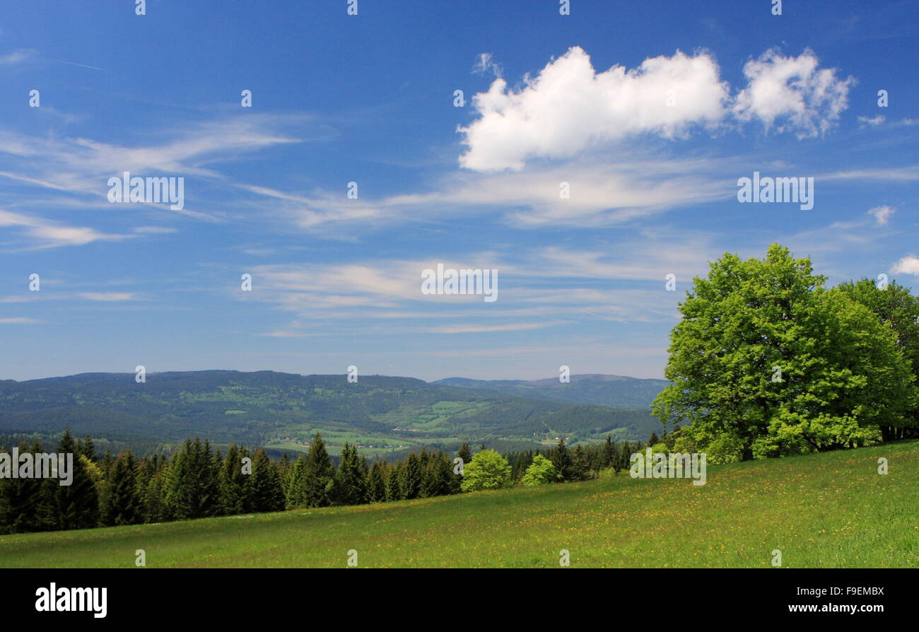 Bohemian Forest, Czech Republic Stock Photo - Alamy