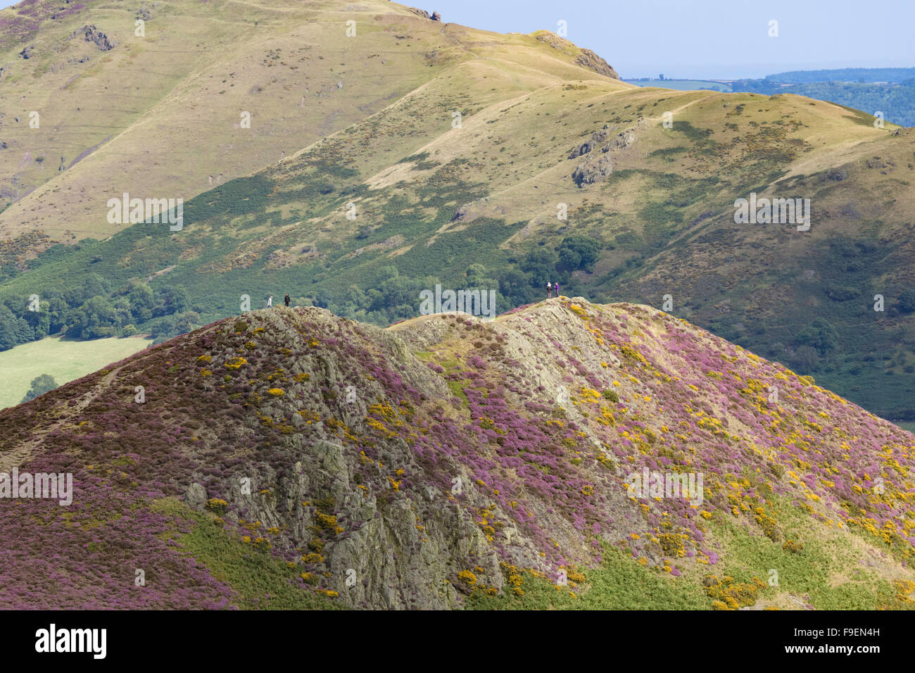 Looking across the Stretton Hills from the Long Mynd and the distant ...