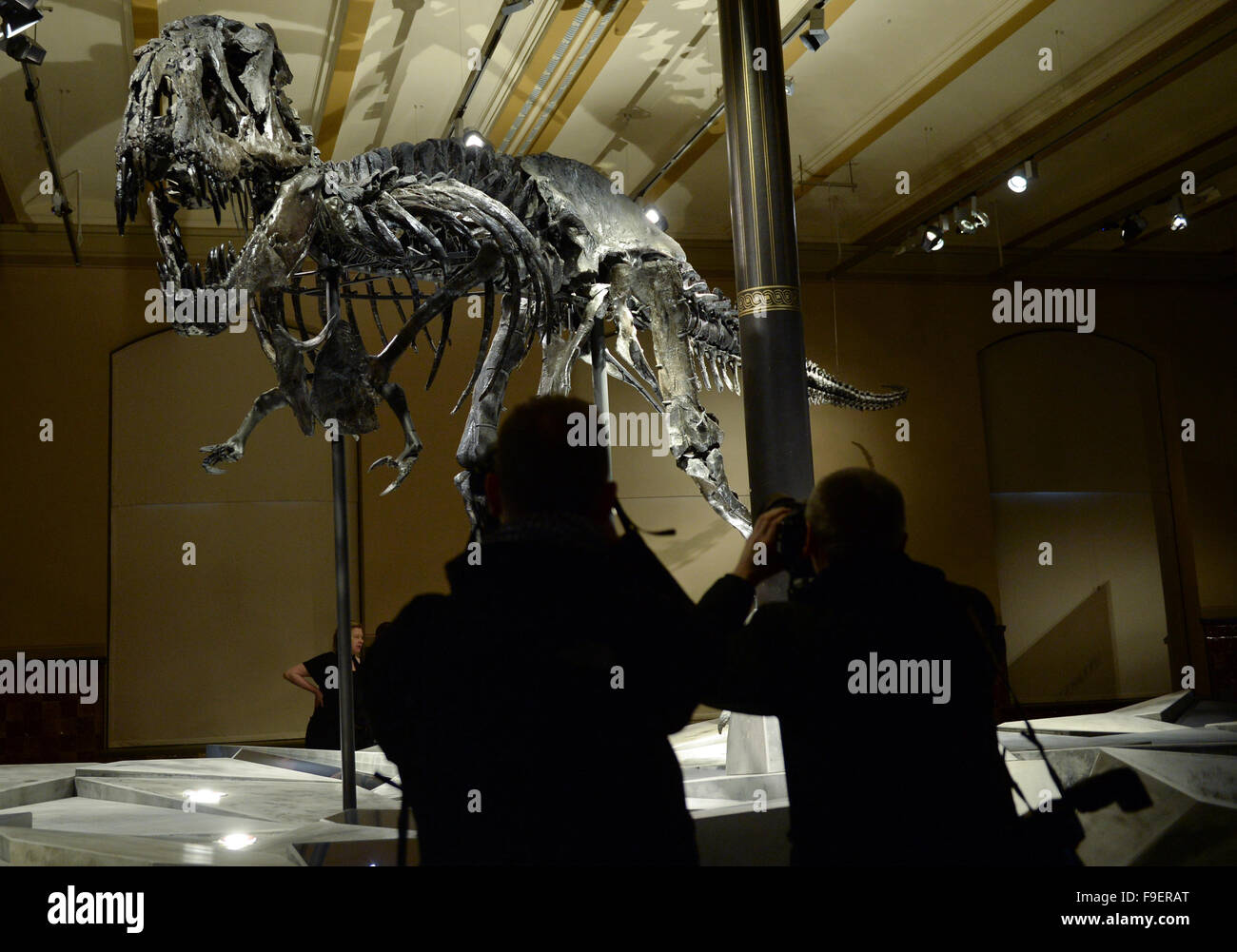 Tyrannosaurus skeleton berlin hi-res stock photography and images - Alamy