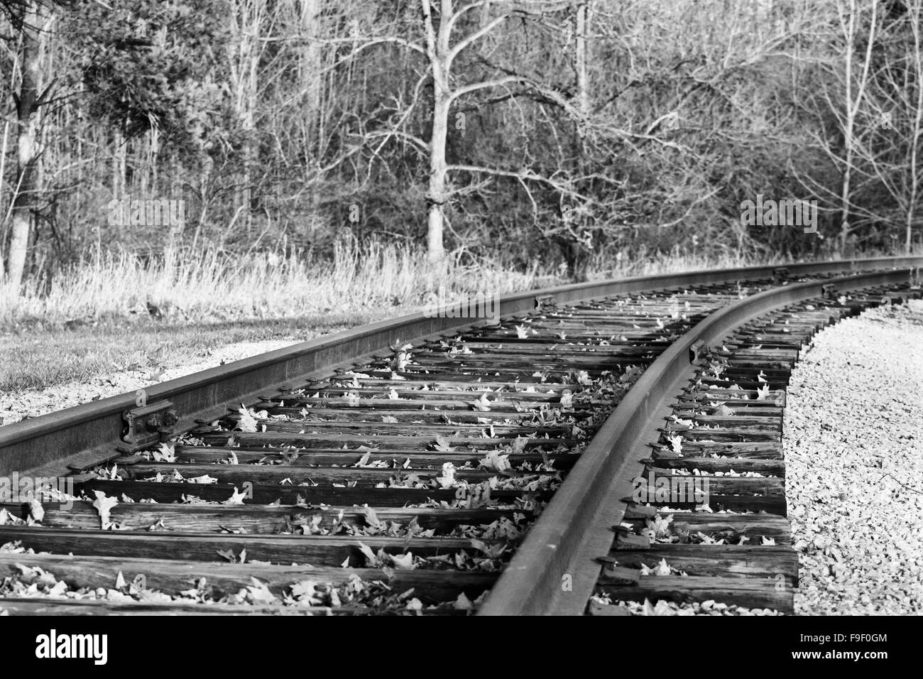 The old rail road through the forest in autumn Stock Photo - Alamy