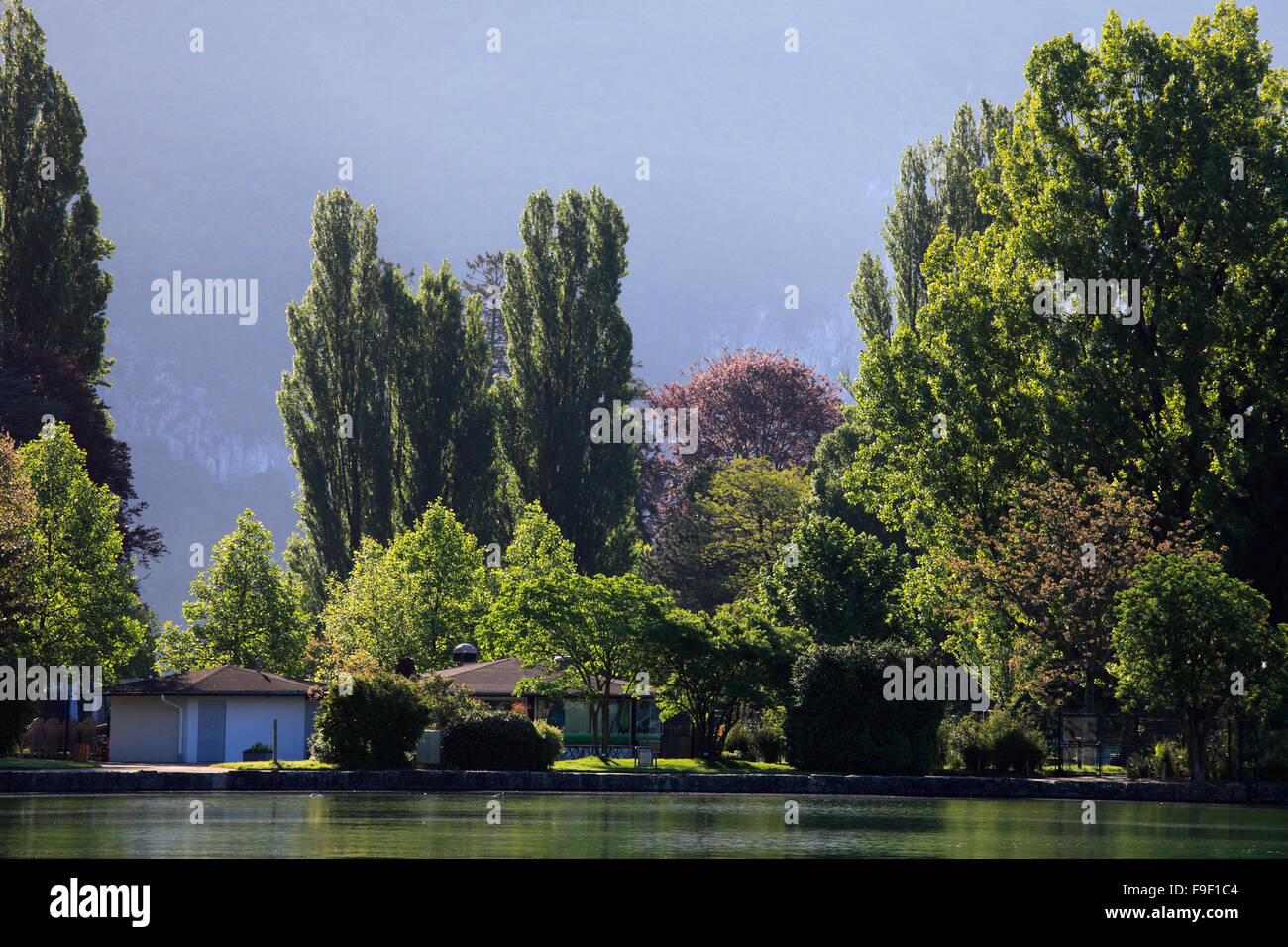 France Rhône-Alpes Annecy lake trees landscape Stock Photo - Alamy