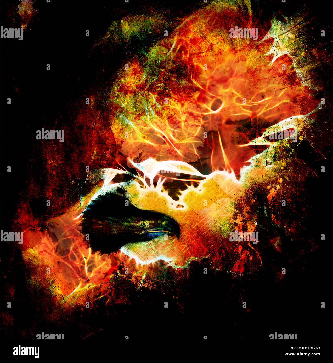 fenix in fire on an abstract background, color with spot structures ...