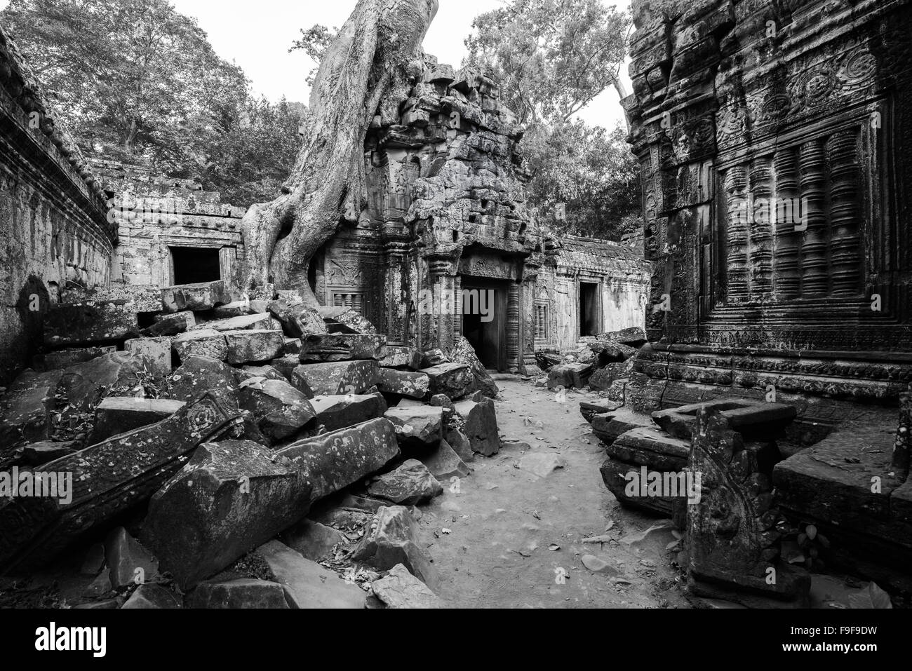 Ta Prohm temple, Cambodia Stock Photo - Alamy