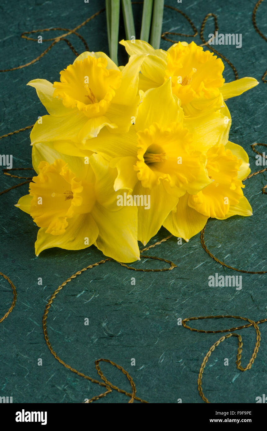 Yellow jonquil flowers on green background Stock Photo - Alamy