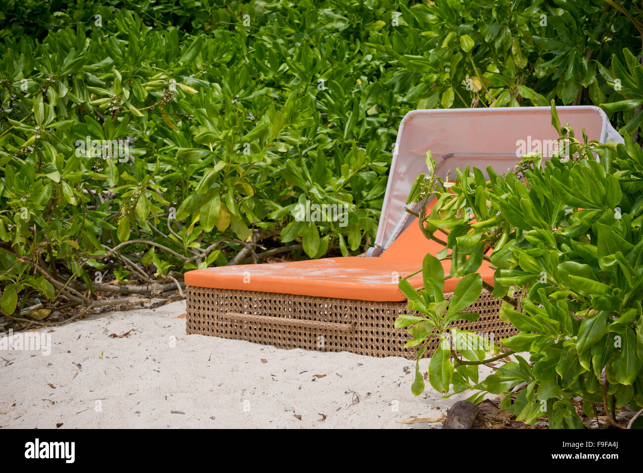 beach bed on white sand among palm trees in full sun Stock Photo - Alamy