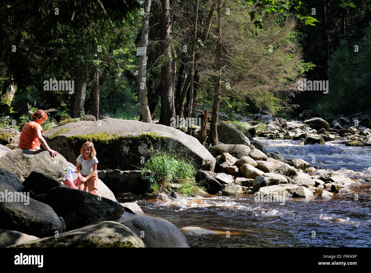 Bohemian Forest, Czech Republic Stock Photo - Alamy