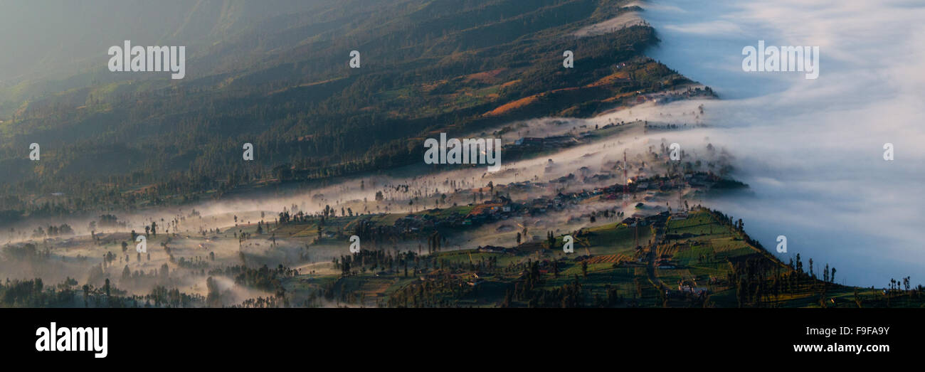 Mist and fog of Volcano Bromo entering the Field Stock Photo - Alamy