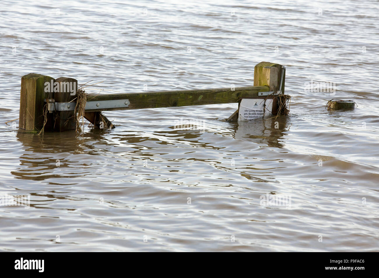Alkborough Flats, Managed Realignment site, North Lincolnshire, England ...