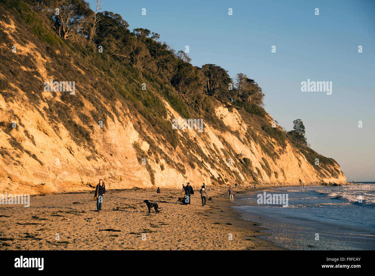 Dog walking, Late afternoon, Hendry's Beach, Santa Barbara, California ...