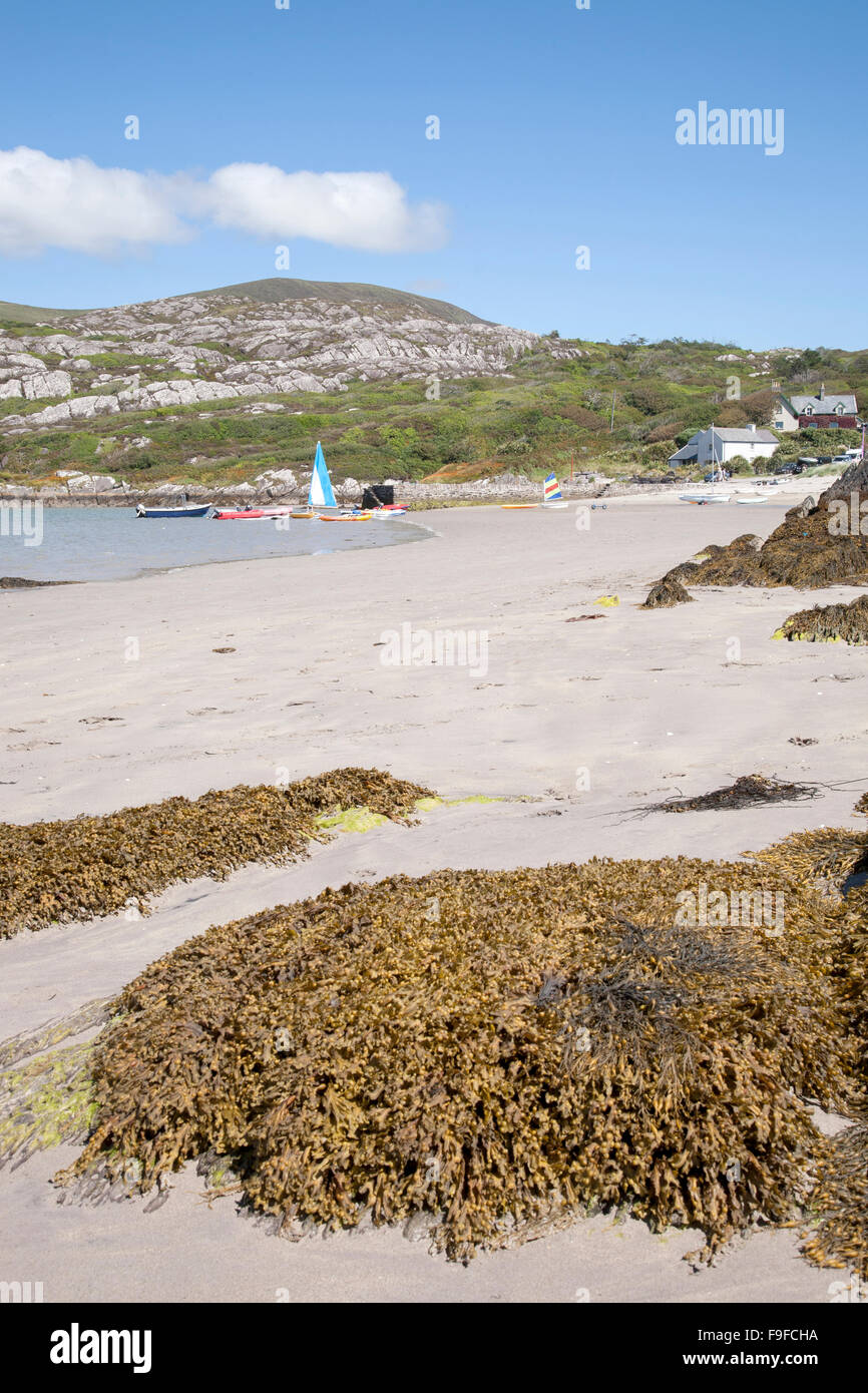 Derrymore Bay Beach; County Kerry; Ireland Stock Photo - Alamy