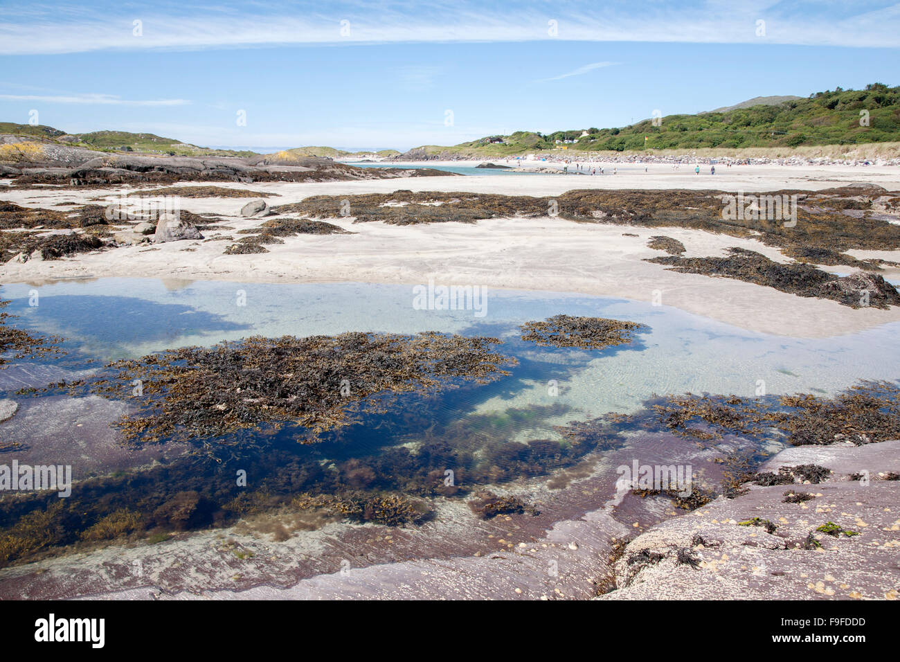Derrymore Bay Beach; Waterville; County Kerry; Ireland Stock Photo - Alamy