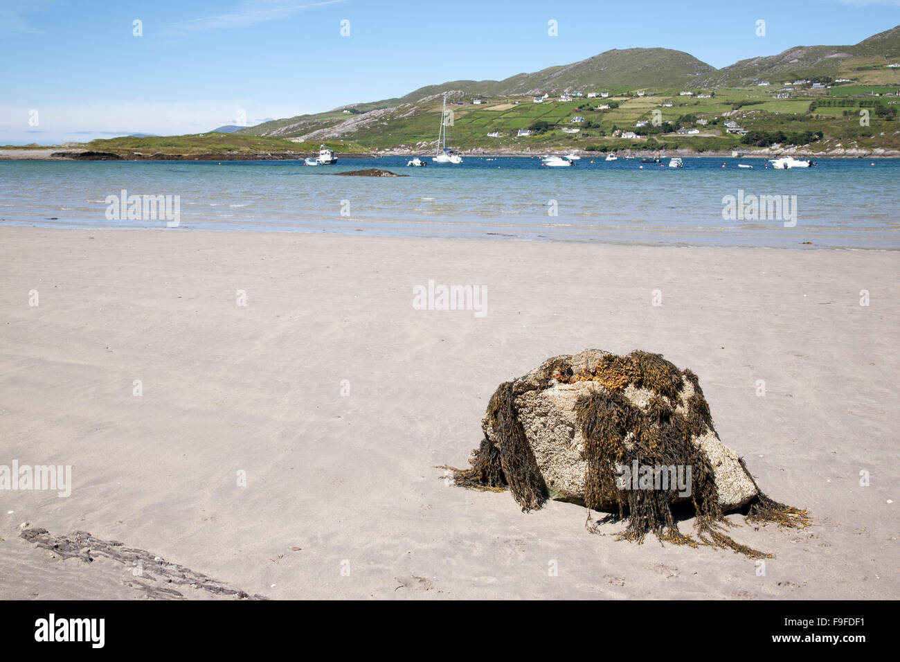 Derrymore Bay Beach; County Kerry; Ireland Stock Photo - Alamy