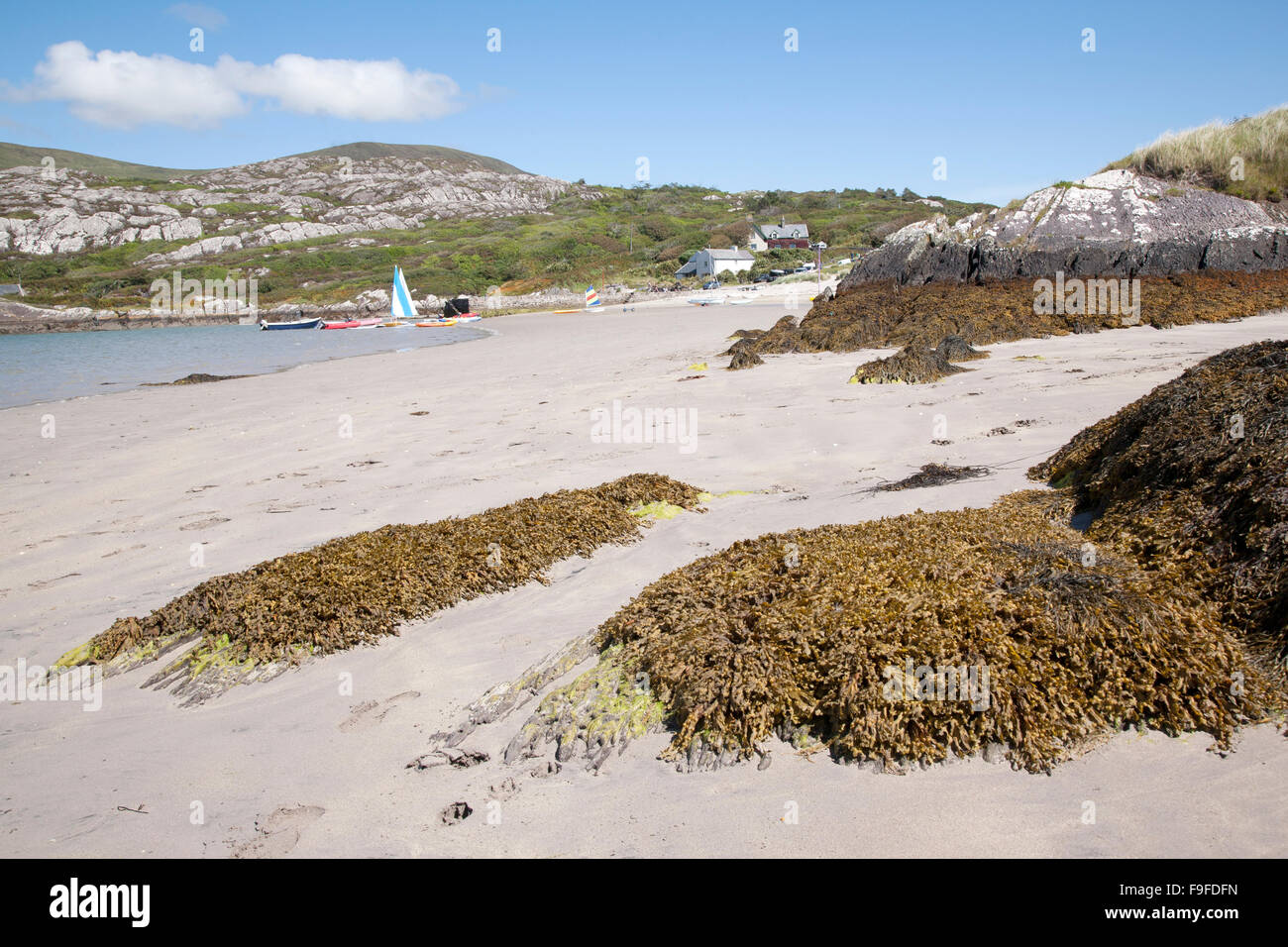 Derrymore Bay Beach; County Kerry; Ireland Stock Photo - Alamy