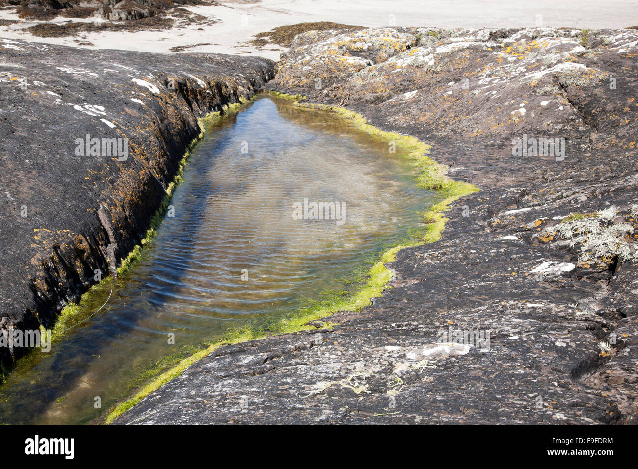 Rock Pool, Derrymore Bay Beach; Waterville; County Kerry; Ireland Stock ...