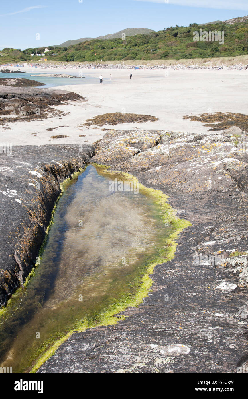 Rock Pool, Derrymore Bay Beach; Waterville; County Kerry; Ireland Stock ...