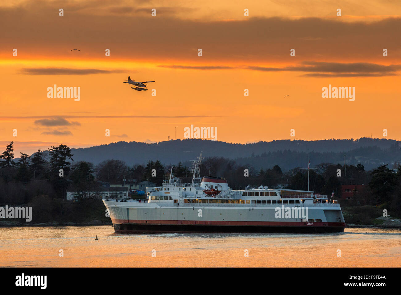 Victoria ferry boat coho canada hi-res stock photography and images - Alamy