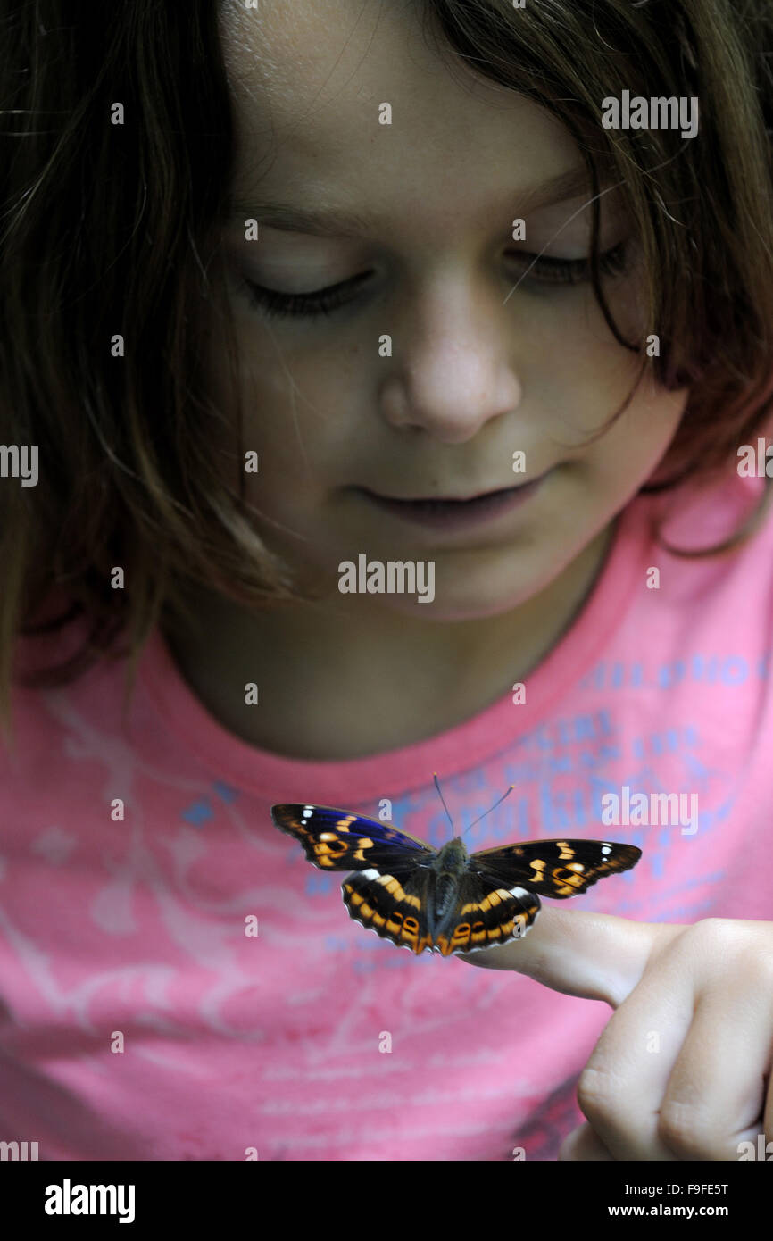 Butterfly wings for kids hi-res stock photography and images - Alamy