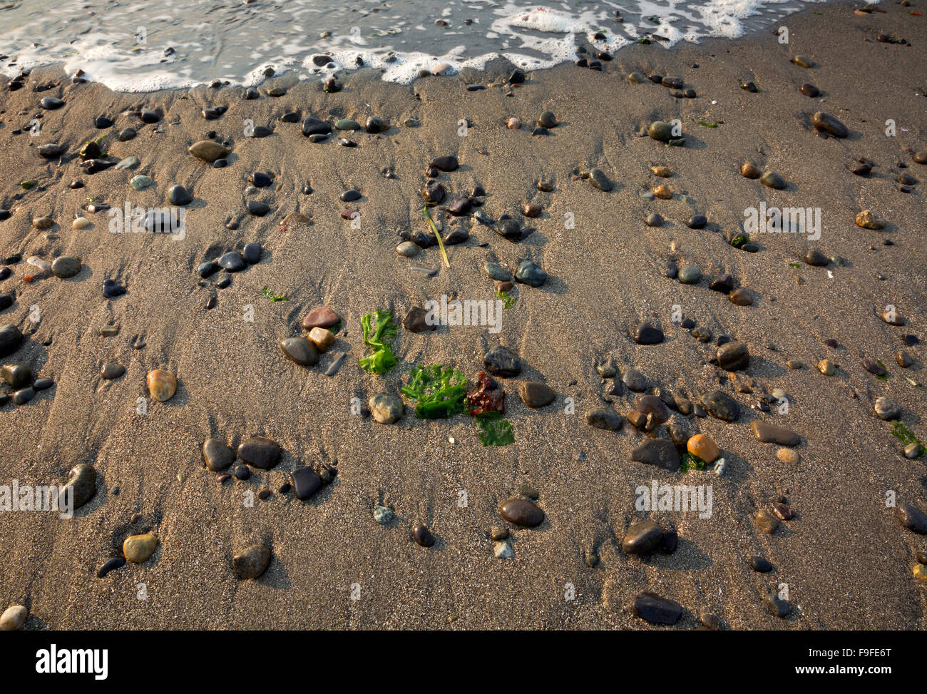 Water seaweed rocks hi-res stock photography and images - Alamy