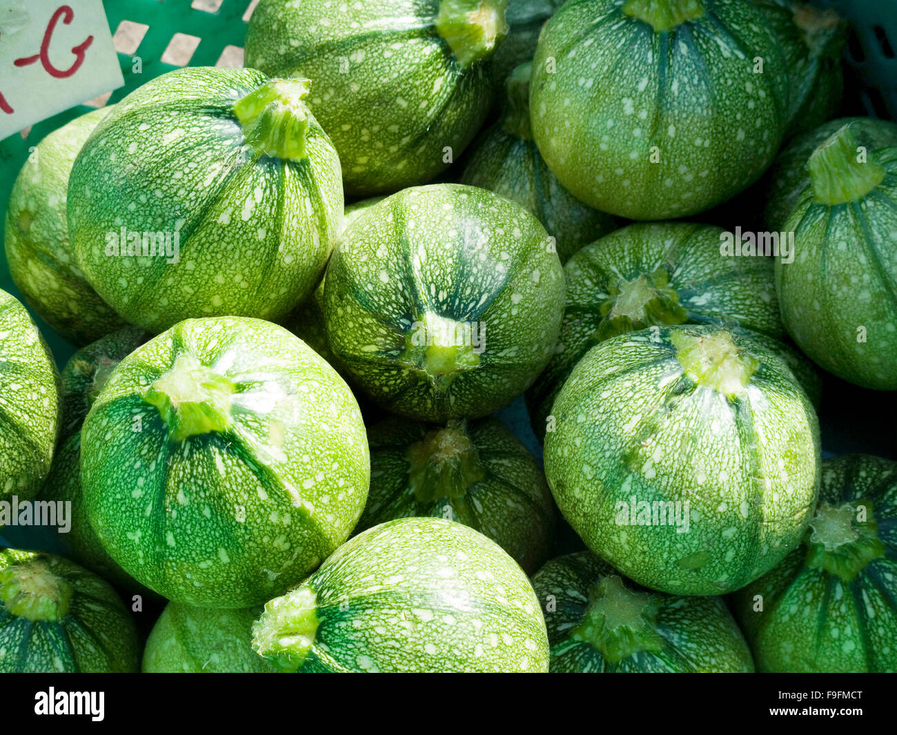 Round marrows hi-res stock photography and images - Alamy