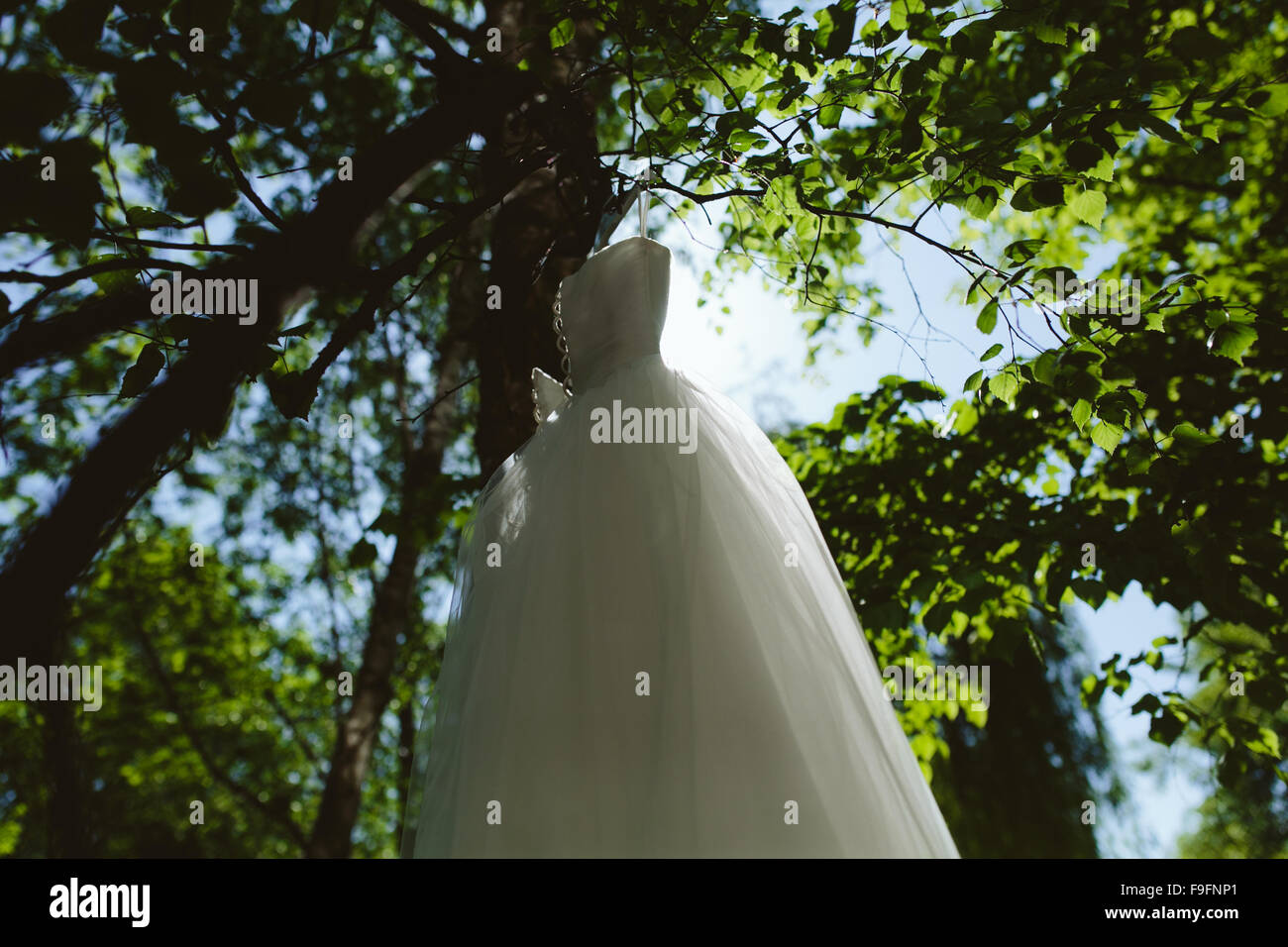 Wedding dress hanging on a tree Stock Photo - Alamy