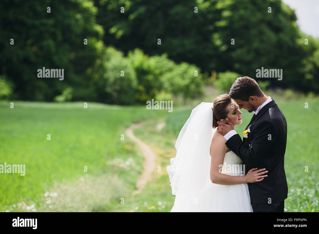 Beautiful wedding couple on nature Stock Photo - Alamy