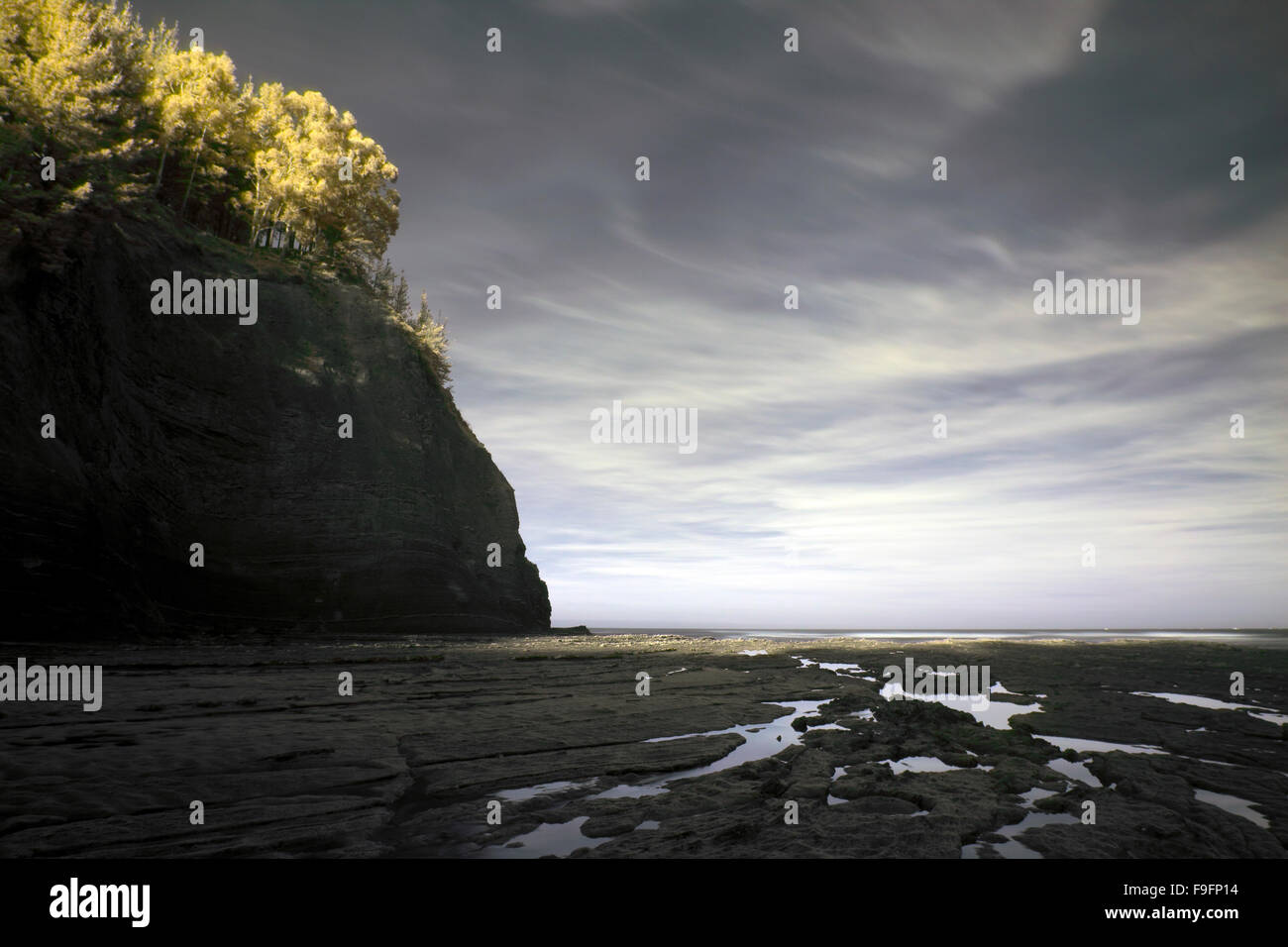 Alien shore landscape Stock Photo - Alamy