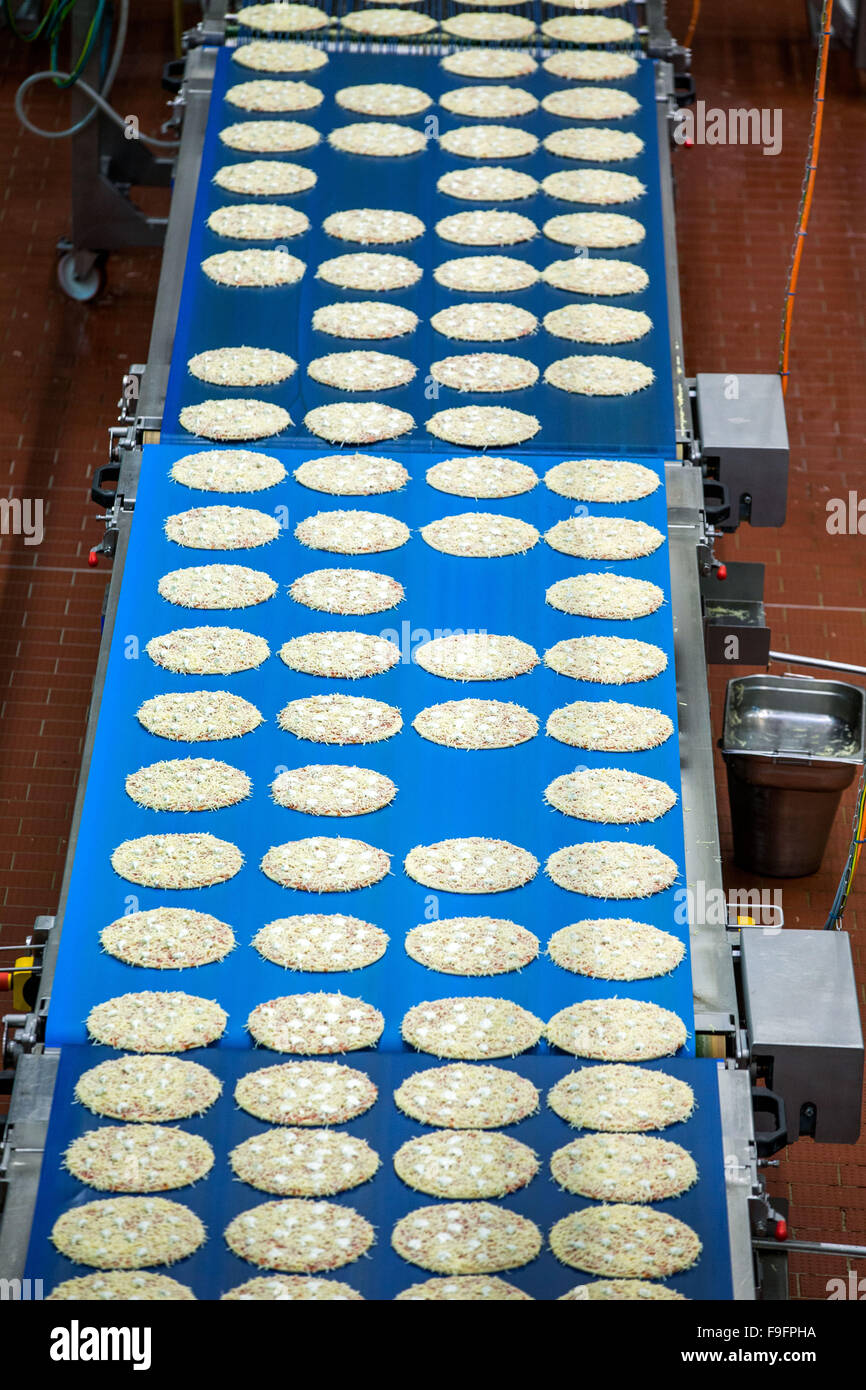 A production line with frozen pizzas at the pizza factory of food ...